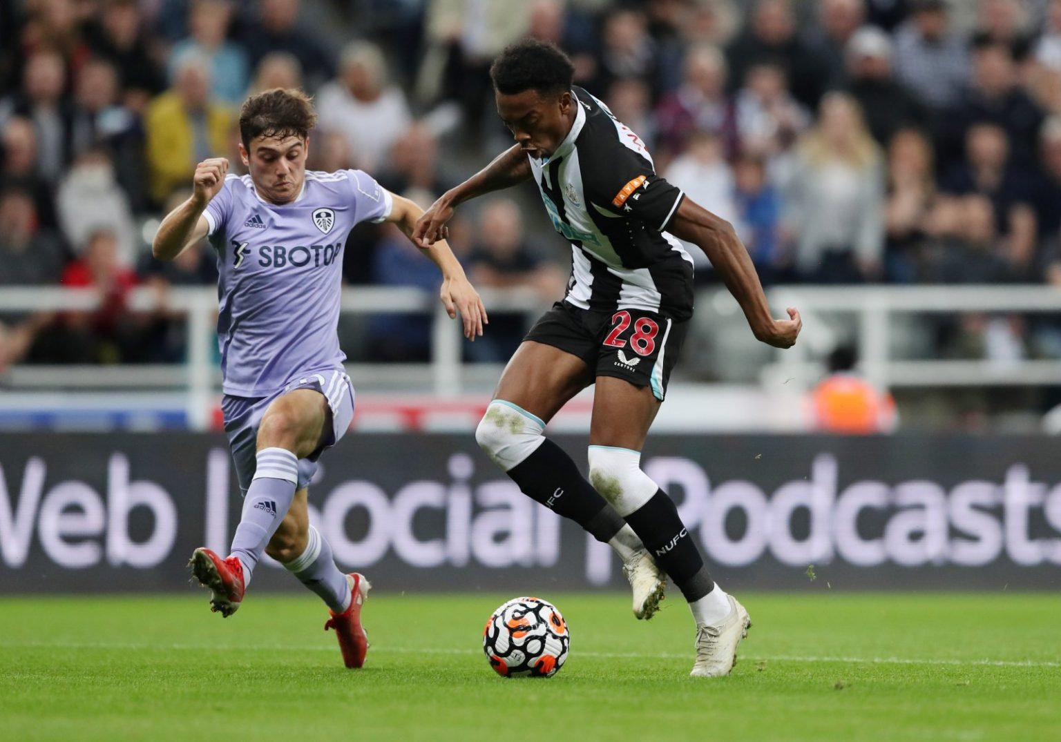 Newcastle injury news on Willock | The Transfer Tavern